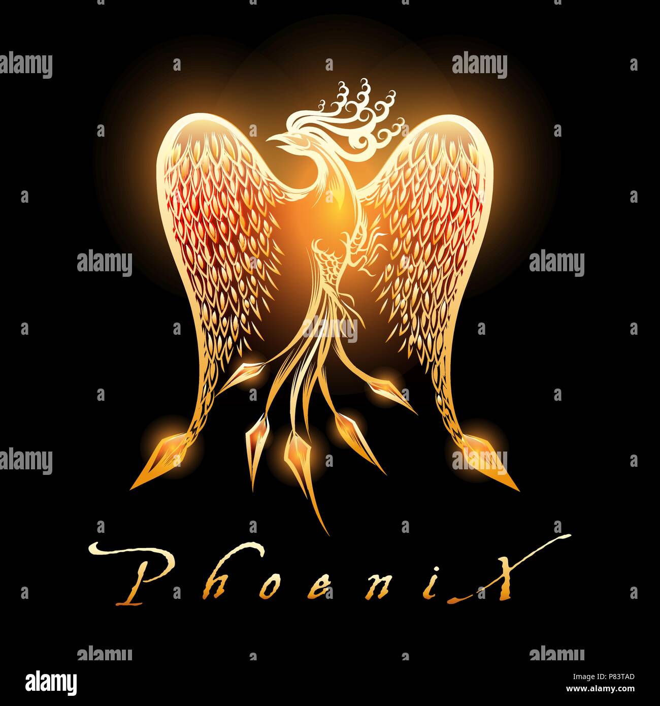 Feuer Vogel Phönix auf schwarzem Hintergrund. Vector Illustration Stock ...