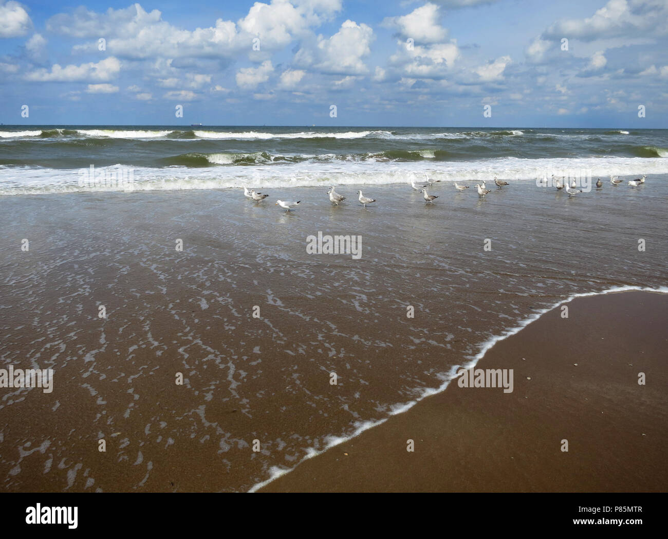 Strand, der Strand von Scheveningen Scheveningen; Nederland ...
