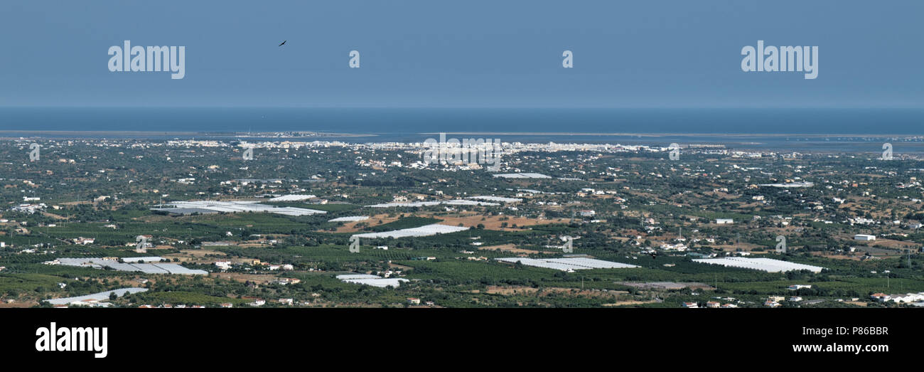 Blick von Guilhim Hügel in Estoi. Algarve, Portugal Stockfotografie - Alamy