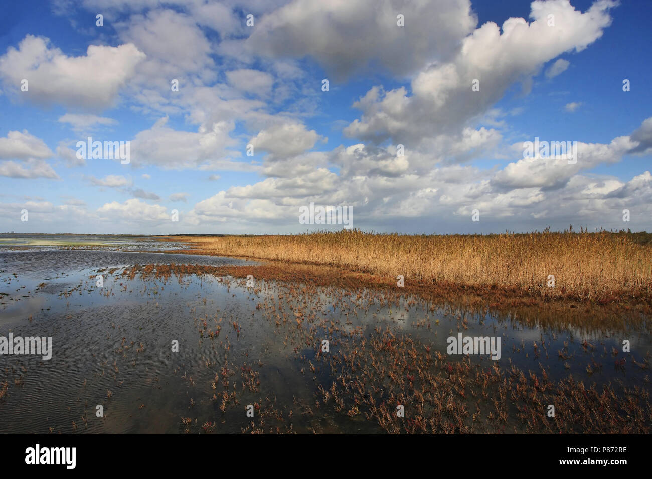 Slikken van flakkee -Fotos und -Bildmaterial in hoher Auflösung – Alamy