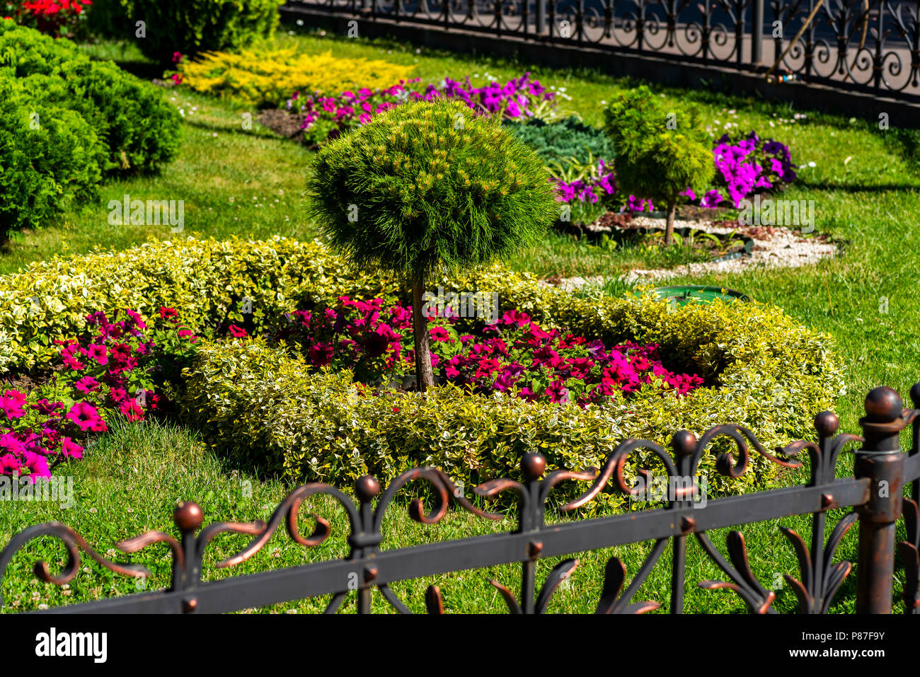 Blumenbeet mit Blumen im Design Stockfotografie - Alamy