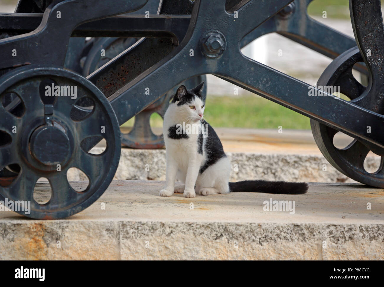 Artillery gun carriage -Fotos und -Bildmaterial in hoher Auflösung – Alamy
