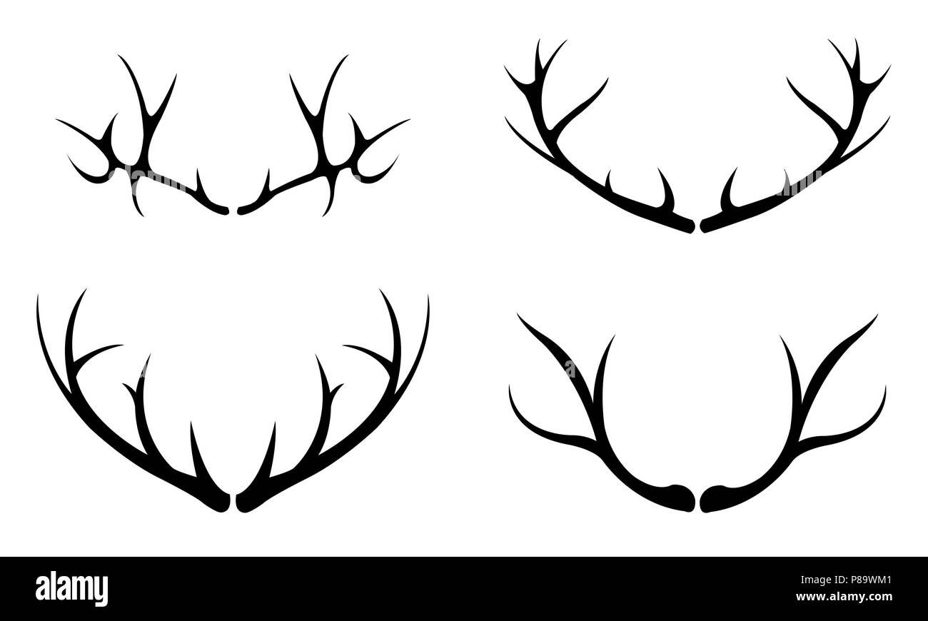 Hirschgeweih zeichnung -Fotos und -Bildmaterial in hoher Auflösung – Alamy