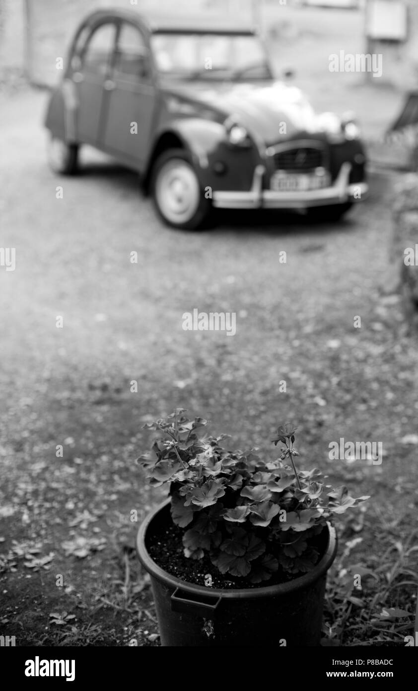 Citroen 2cv front -Fotos und -Bildmaterial in hoher Auflösung – Alamy