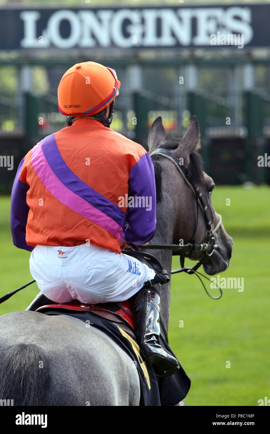Galopp galoppieren -Fotos und -Bildmaterial in hoher Auflösung – Alamy