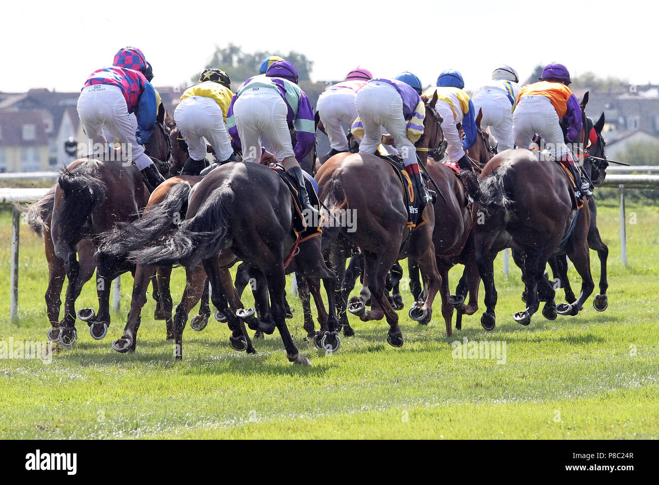 Rennpferde horizontal -Fotos und -Bildmaterial in hoher Auflösung – Alamy