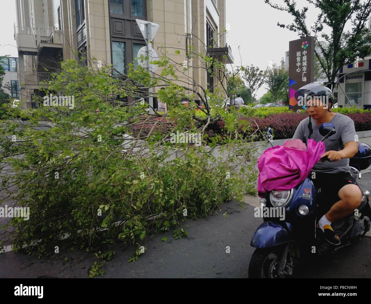 42 straßenjahr -Fotos und -Bildmaterial in hoher Auflösung – Alamy