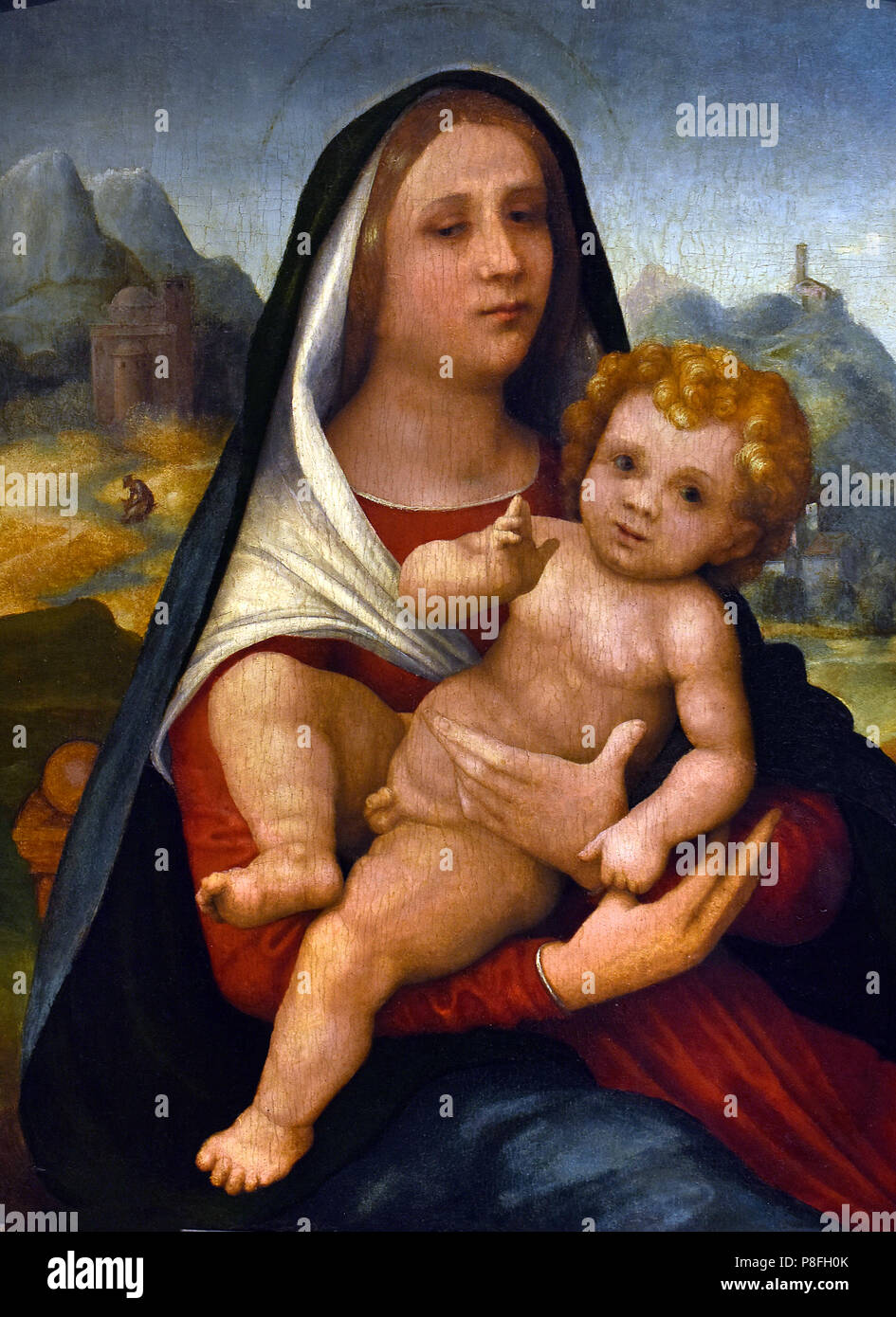 Giovanni francesco caroto 1480 1555 -Fotos und -Bildmaterial in hoher ...