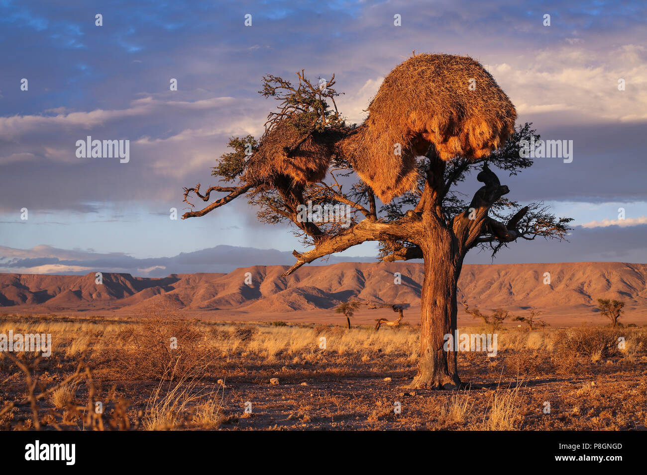 Einzigartige orte in namibia -Fotos und -Bildmaterial in hoher ...