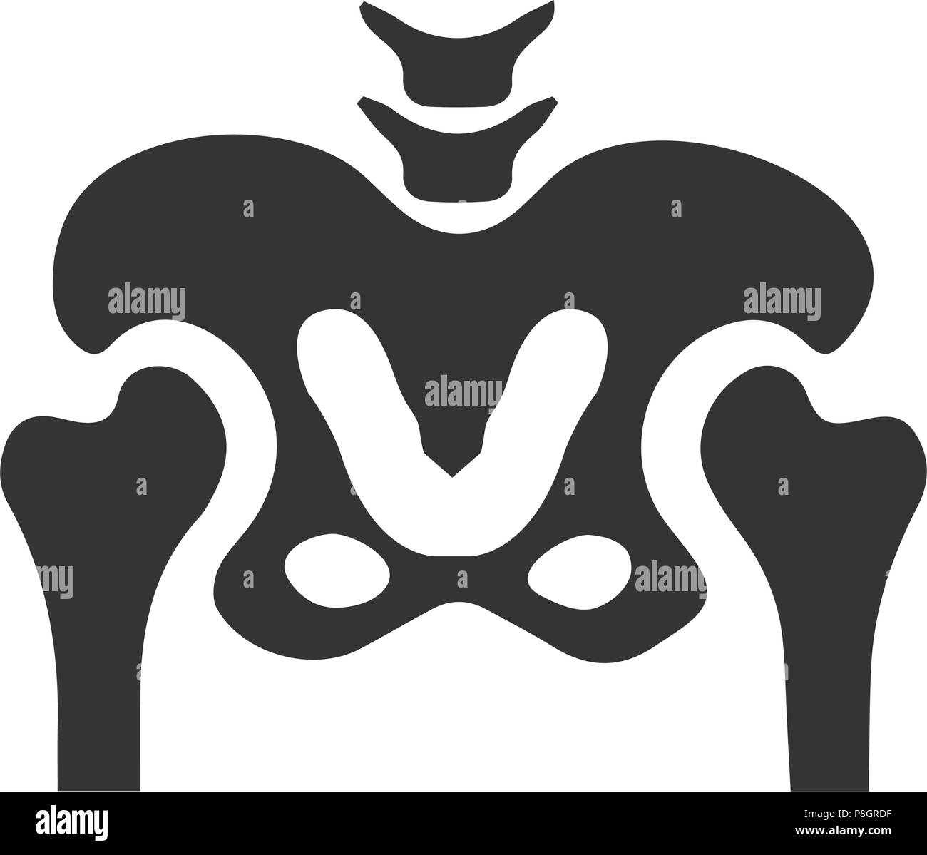 Becken anatomy Stock-Vektorgrafiken kaufen - Alamy