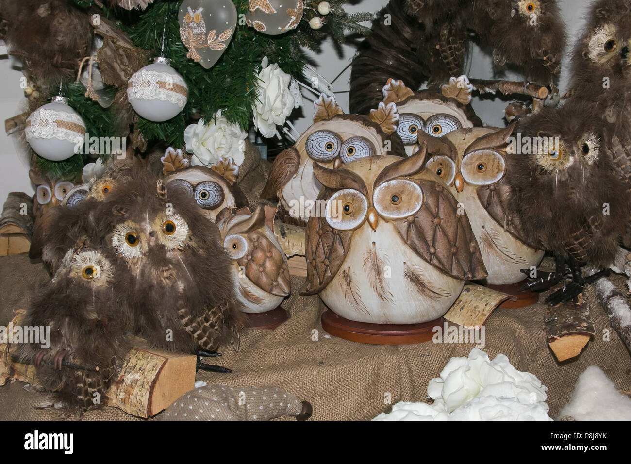 Vogelfoto für den innenraum des wohnzimmers -Fotos und -Bildmaterial in hoher Auflösung – Alamy