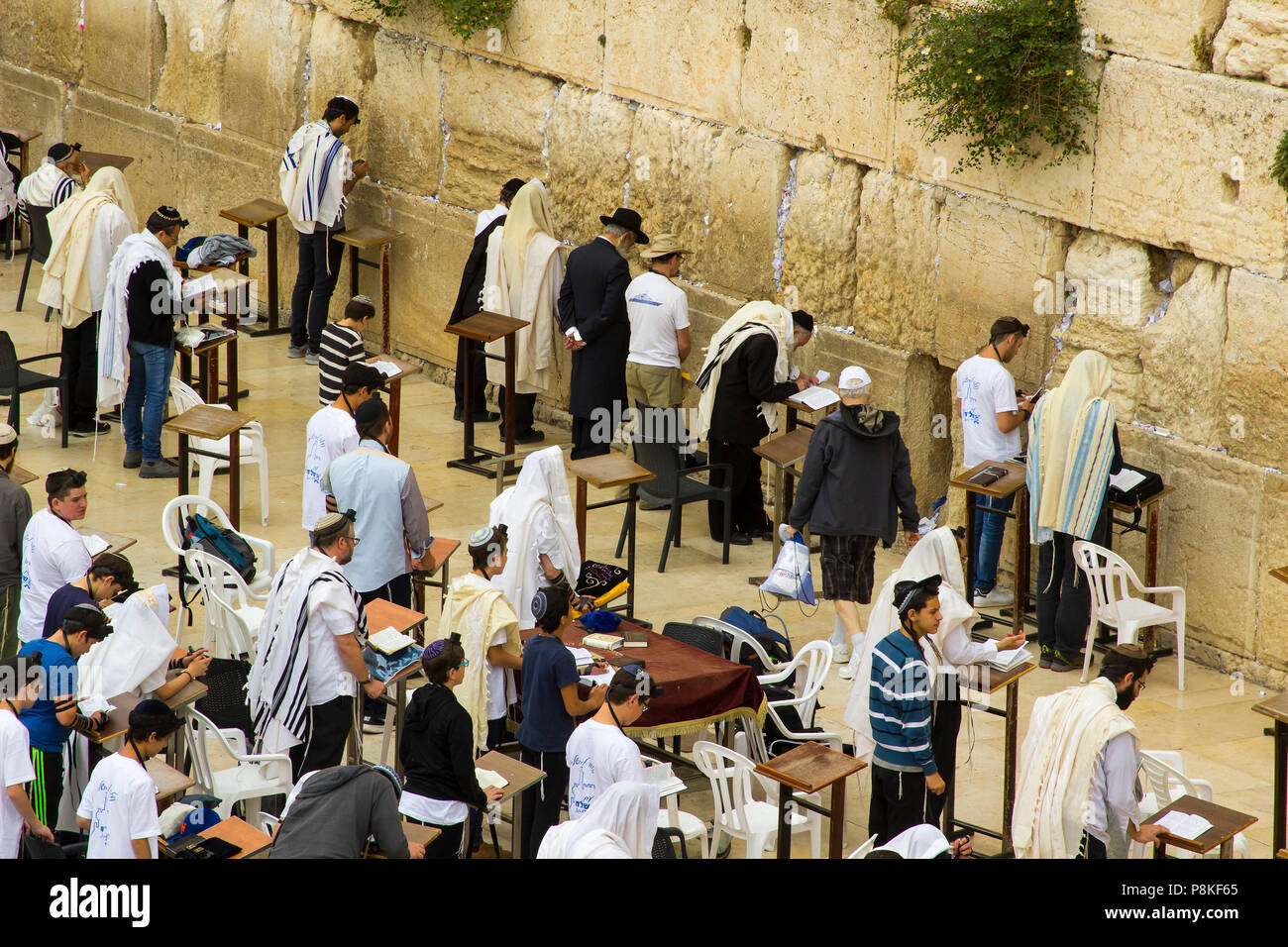 Jude, der die torah an der westlichen wand liest -Fotos und ...