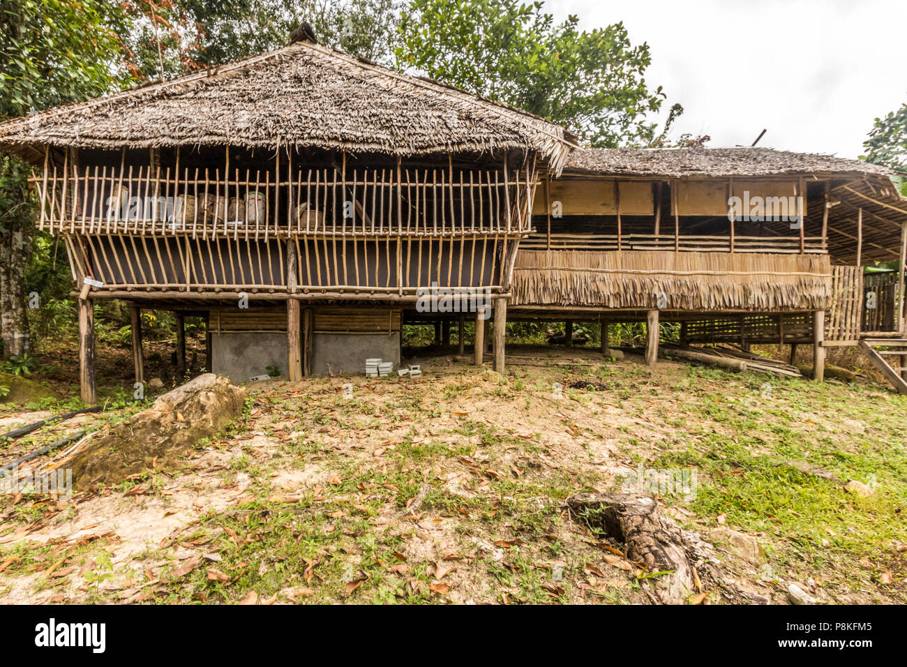 Traditionelle rungus Langhaus Kampung bavanggazo Sabah Malaysia Insel ...
