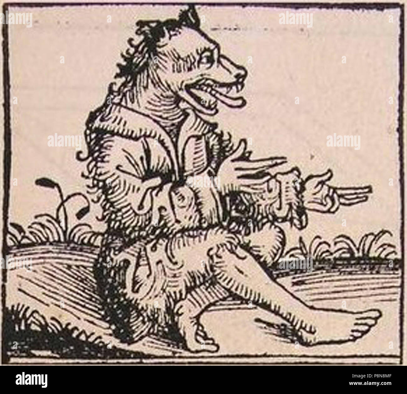 Werwolf mittelalterliche Illustration Stockfotografie - Alamy