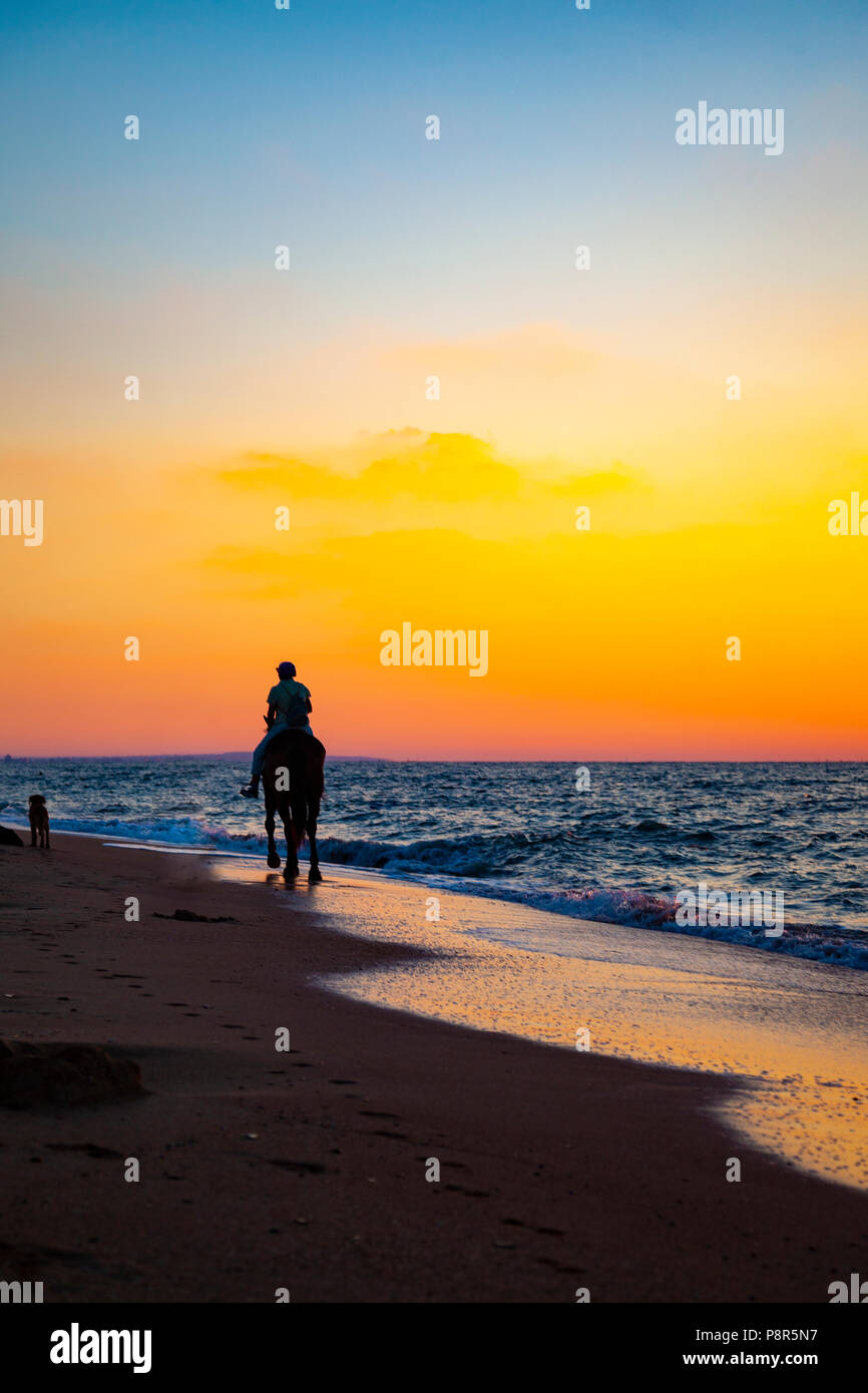 Menschen pferd hund strand -Fotos und -Bildmaterial in hoher Auflösung – Alamy