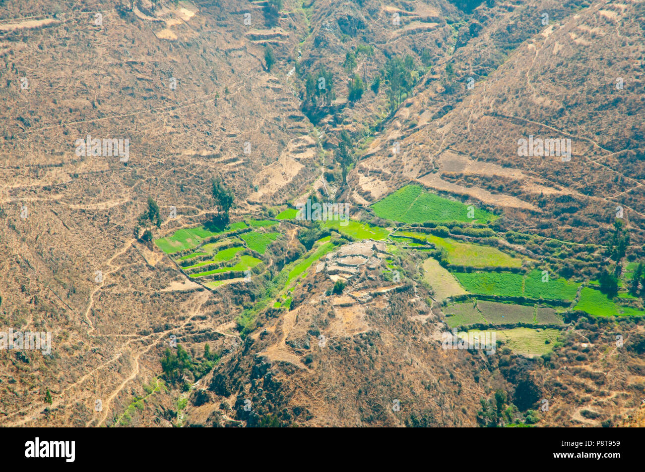 Landwirtschaft Felder in den Anden - Peru Stockfotografie - Alamy