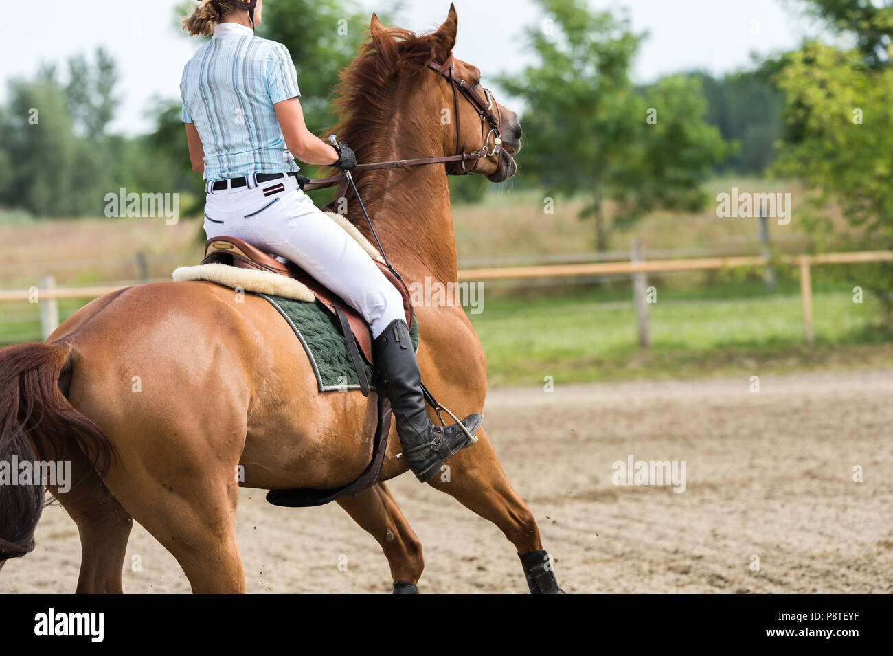 Equestrian Sports Stockfotos und -bilder Kaufen - Alamy
