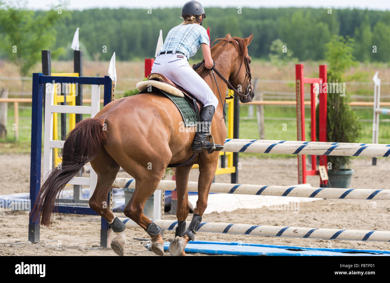 Equestrian Sports Stockfotos und -bilder Kaufen - Alamy