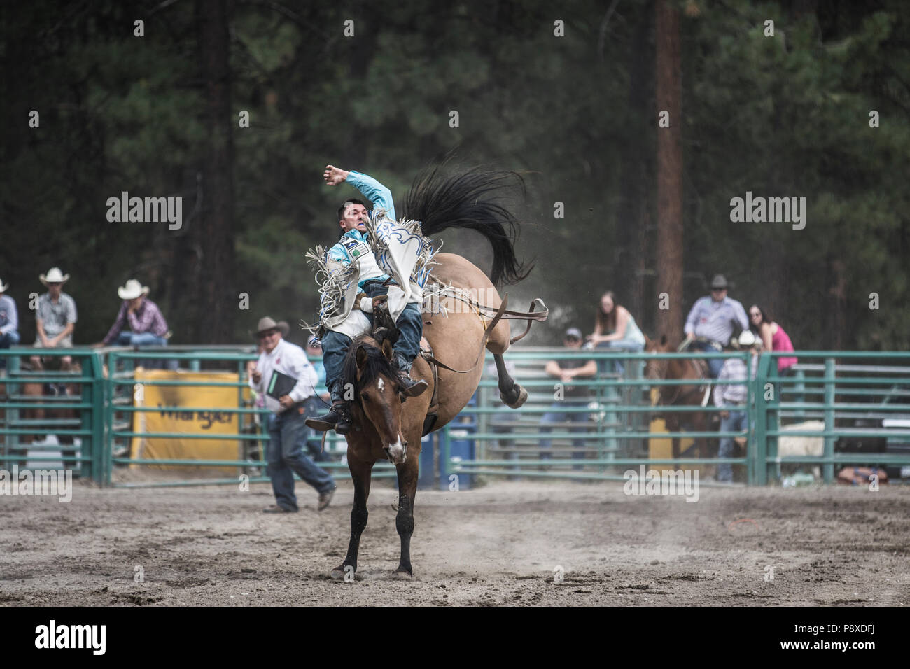 Rodeo-Bareback - Kaleb, Bennett, Treibsand. Wilder action auf Ruckeln ...