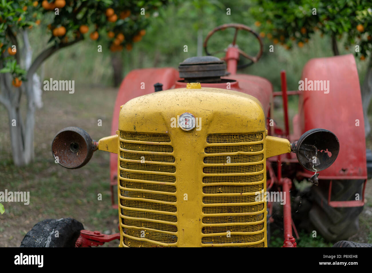 Oldtimer Traktor in der Kretischen Orange Grove, eventuell einen Zetor ...