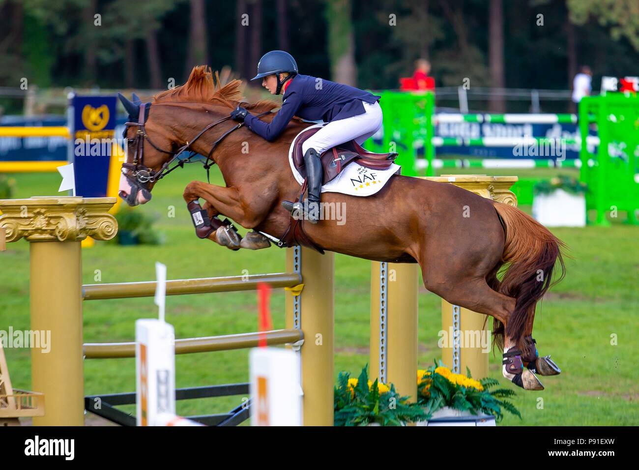 Springreiten europameisterschaft -Fotos und -Bildmaterial in hoher ...