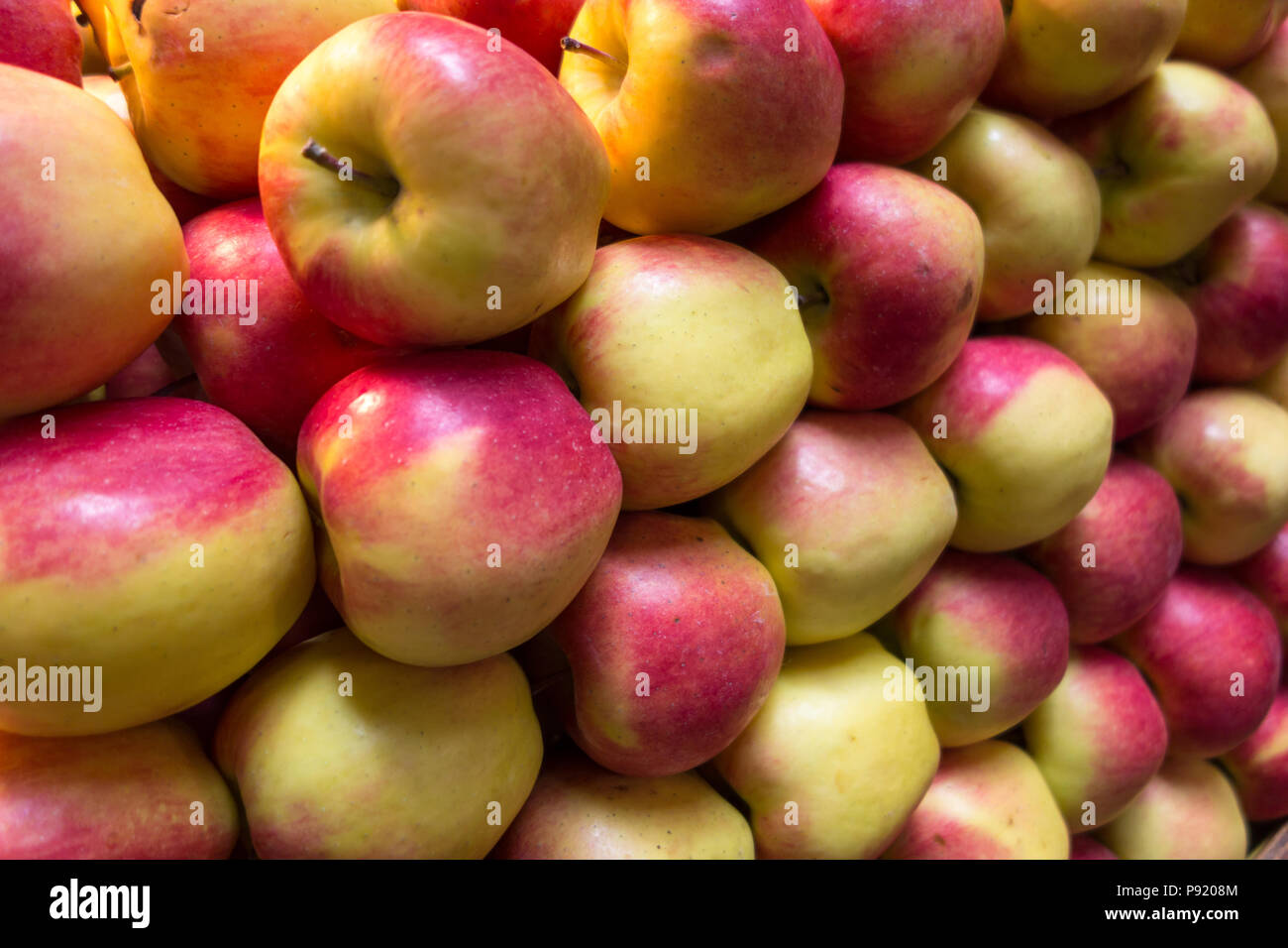Apfelfrucht hautnah -Fotos und -Bildmaterial in hoher Auflösung – Alamy