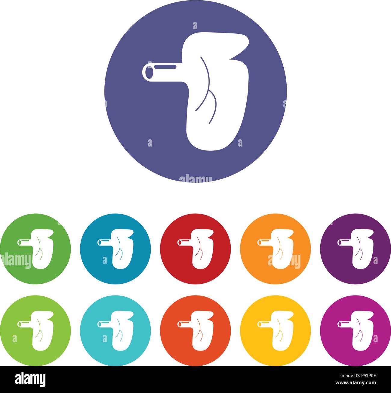 Anatomie der niere und der nebenniere Stock-Vektorgrafiken kaufen ...