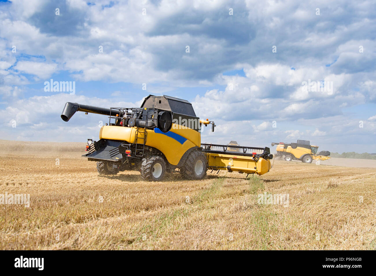 Feldhäcksler Maschine zum Ernten von Weizen Feld arbeiten. Feldhäcksler ...