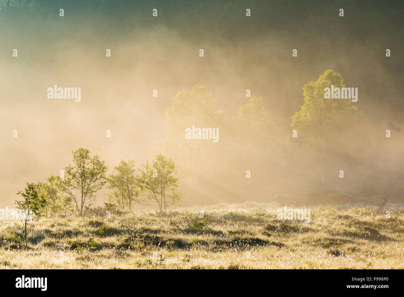Nimm nebel -Fotos und -Bildmaterial in hoher Auflösung – Alamy