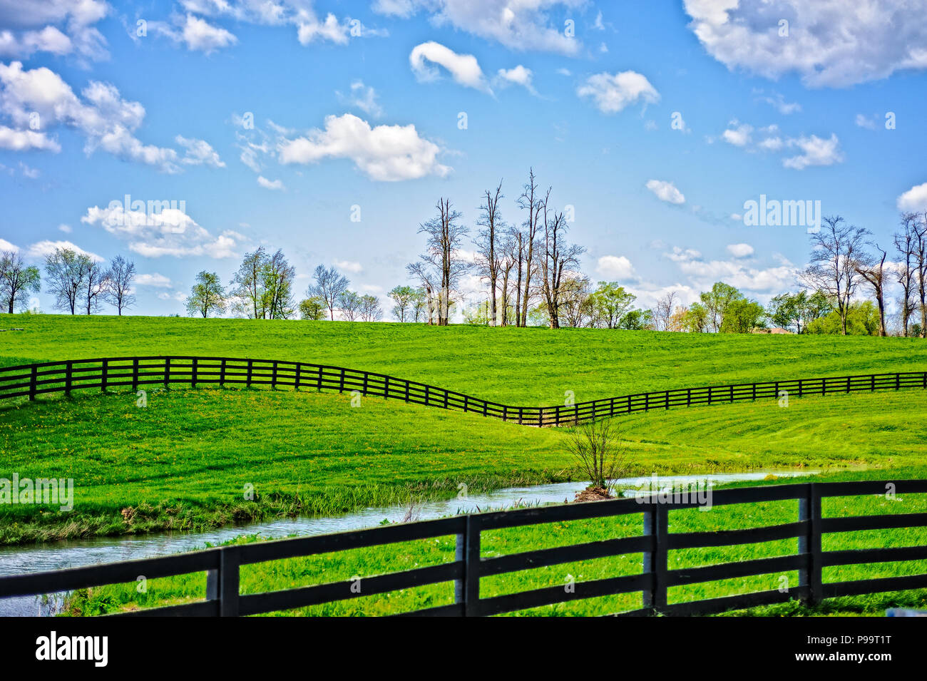 Kentucky bluegrass region -Fotos und -Bildmaterial in hoher Auflösung ...