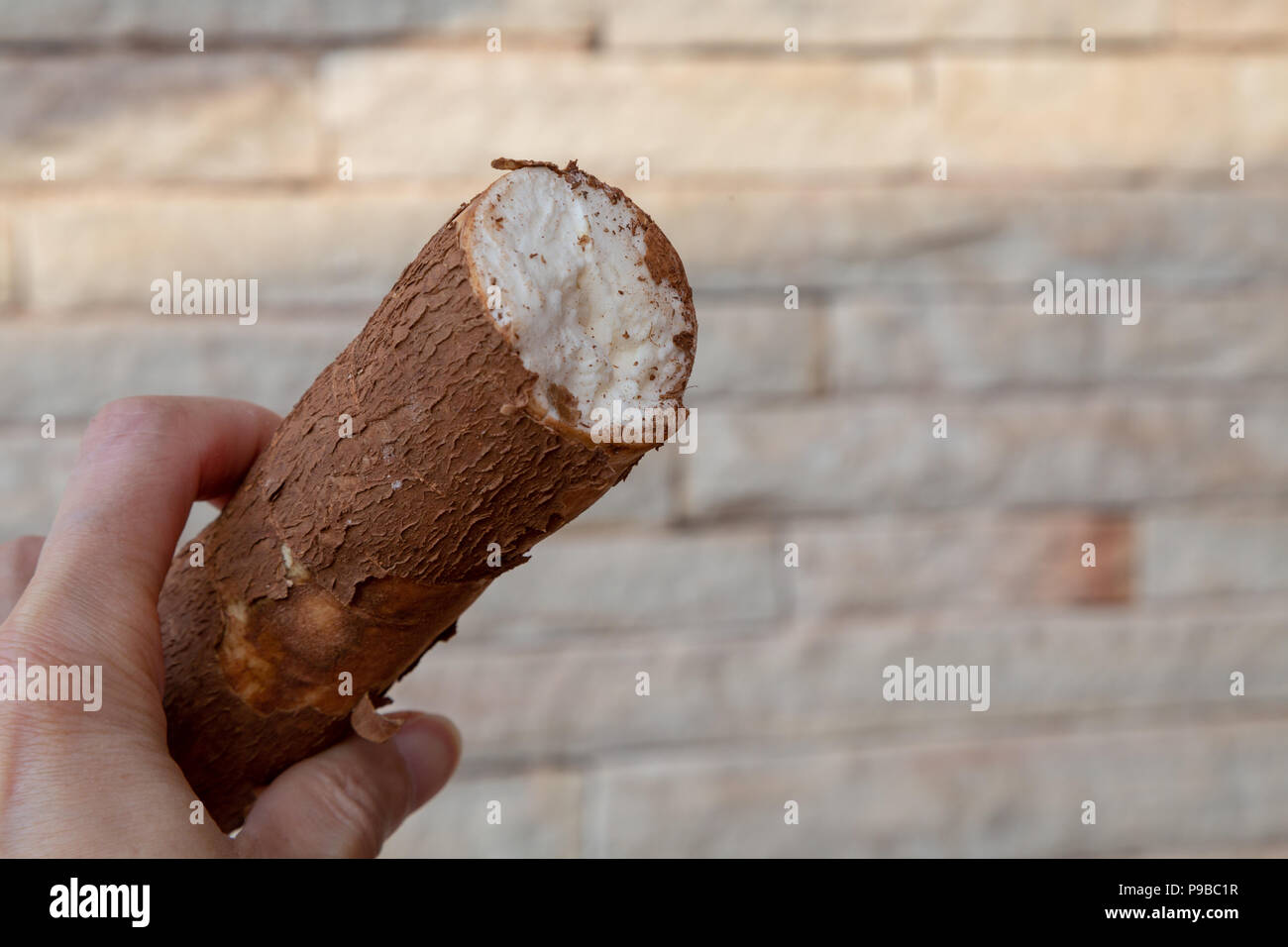Manioc Root Stockfotos und -bilder Kaufen - Alamy