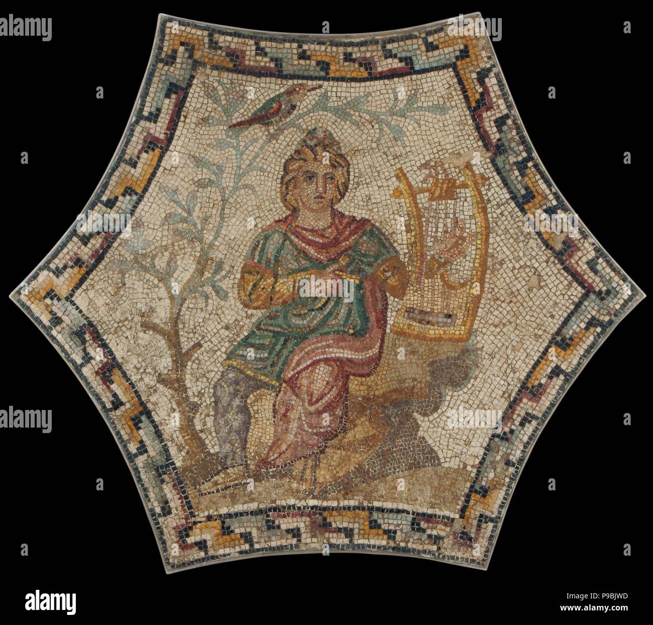 Orpheus lyra -Fotos und -Bildmaterial in hoher Auflösung – Alamy