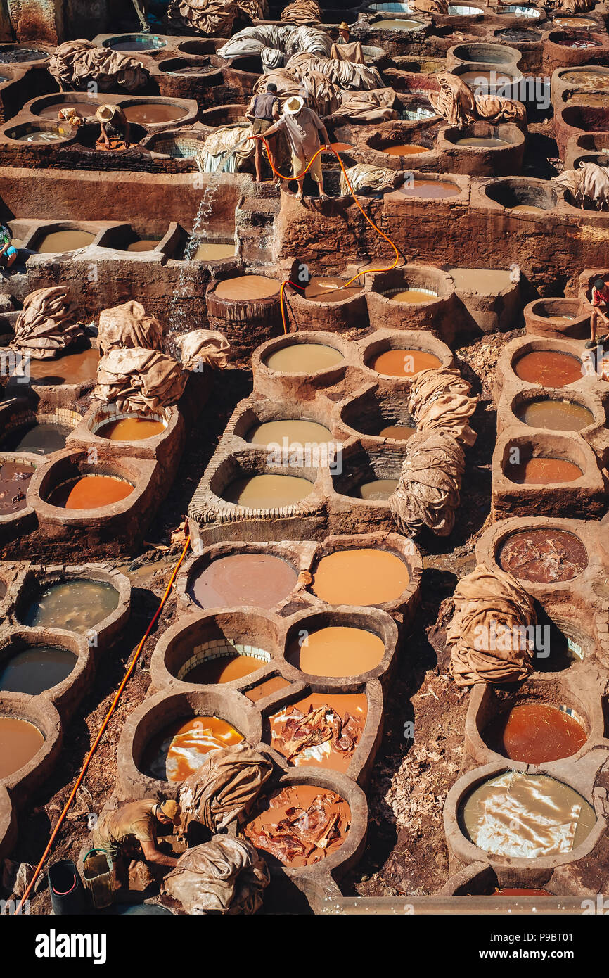 Die unglaubliche historische Gerberei in der alten Medina von Fes ...