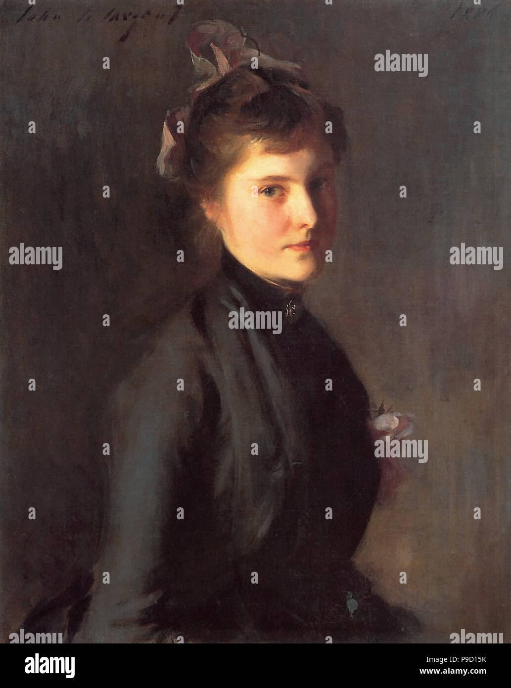 Violettes sargent -Fotos und -Bildmaterial in hoher Auflösung – Alamy