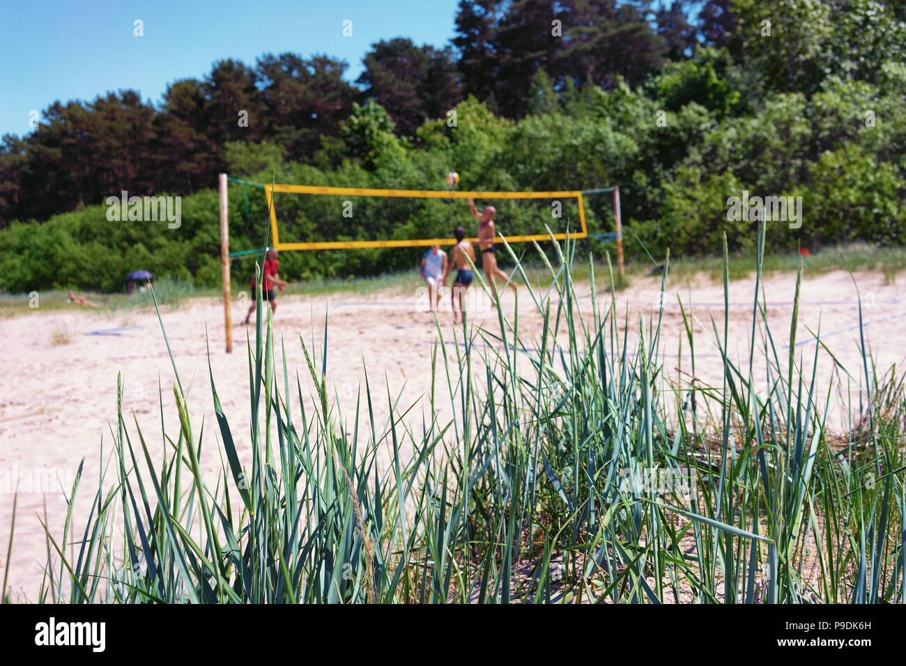 Die Männer spielen Volleyball am Strand der Ostsee in den Dünen im ...