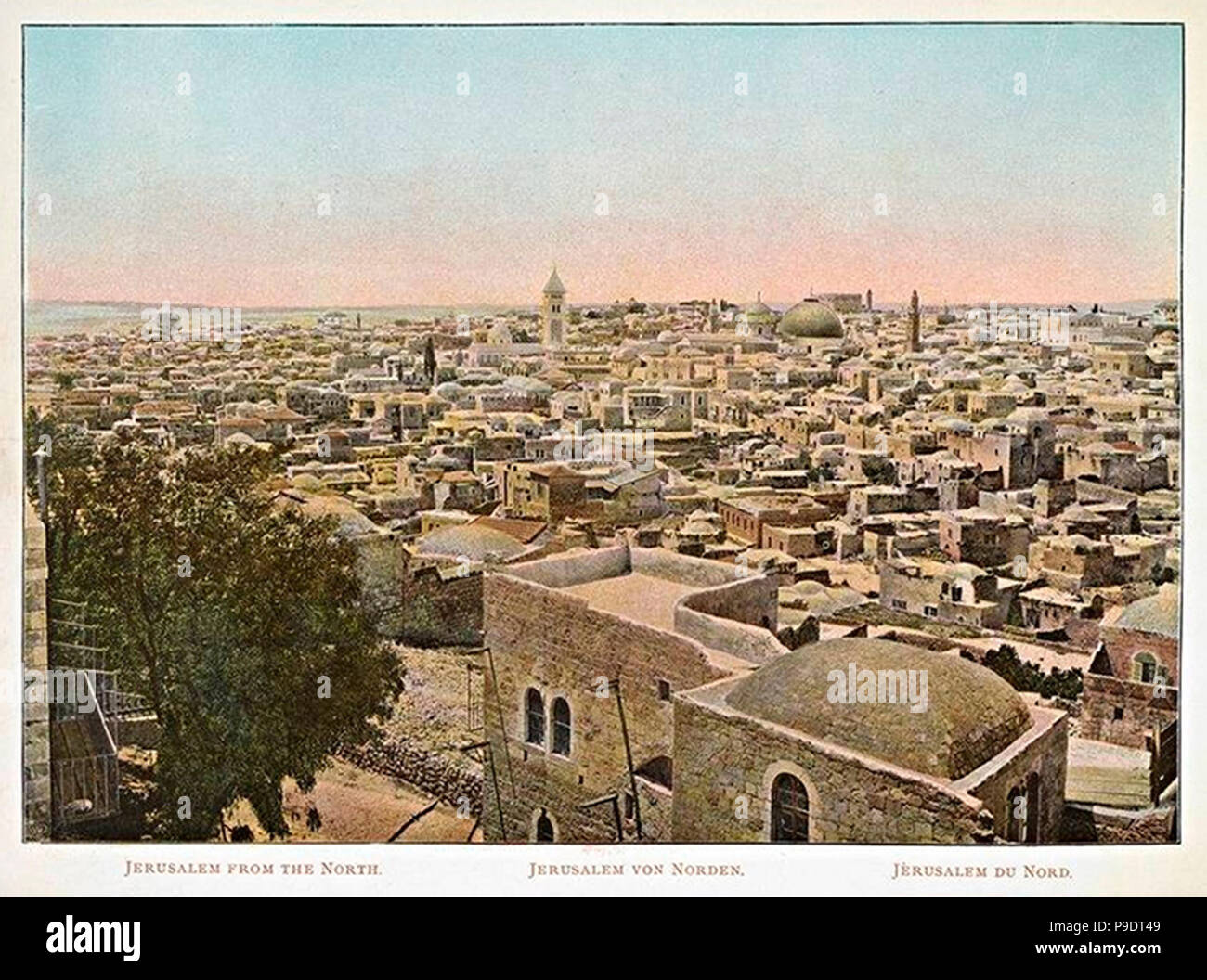 The hanging gardens of babylon -Fotos und -Bildmaterial in hoher ...