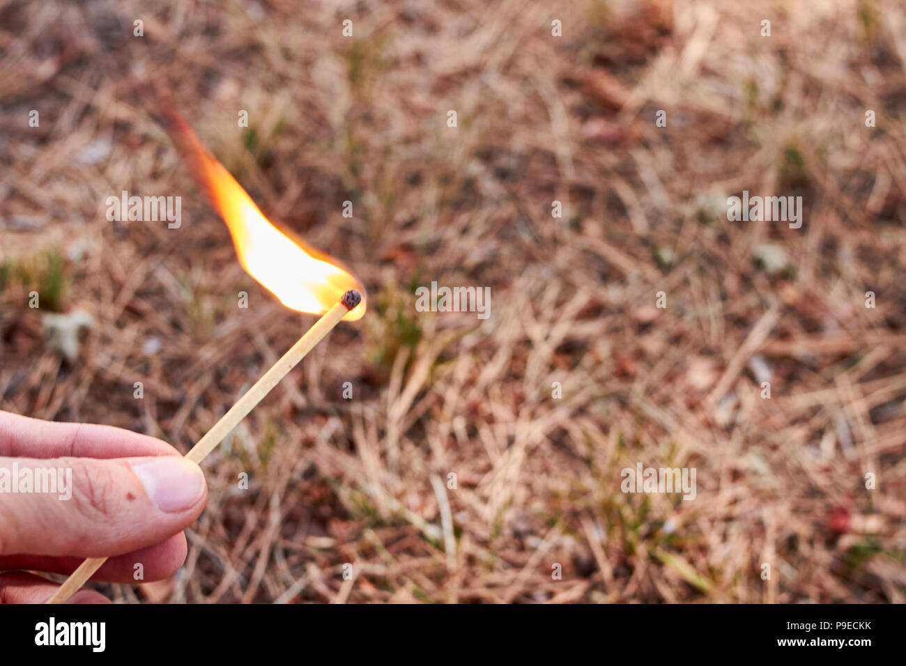 Feuer im wald -Fotos und -Bildmaterial in hoher Auflösung – Alamy