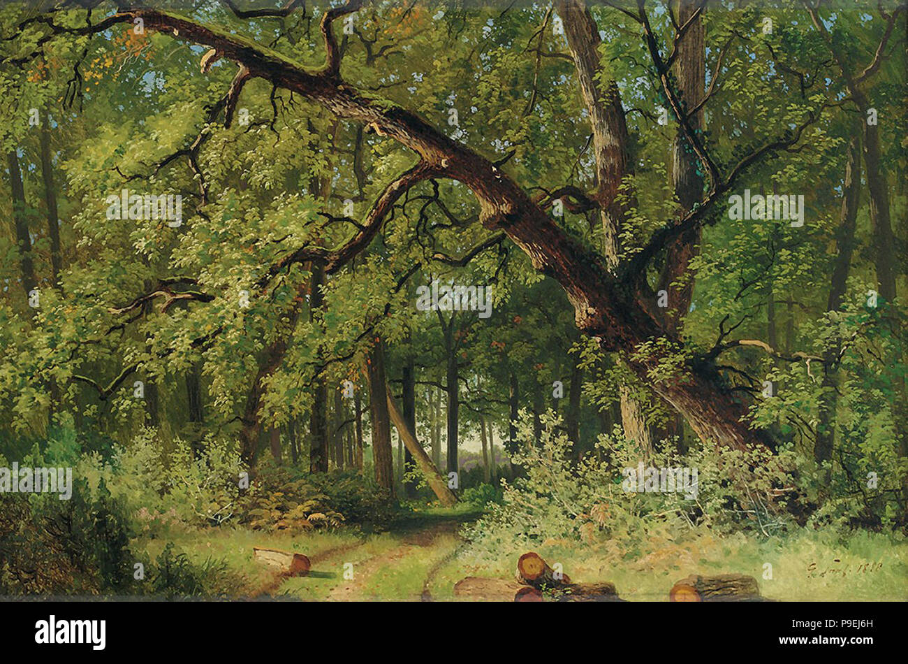 Georg eduard otto saal -Fotos und -Bildmaterial in hoher Auflösung – Alamy