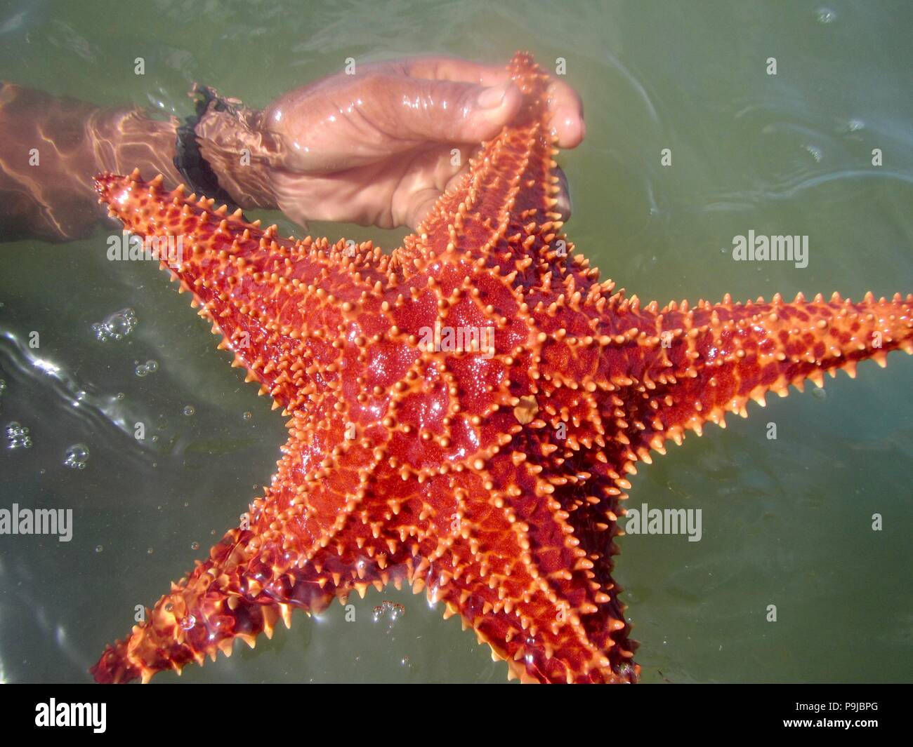 Entlaste dein leben -Fotos und -Bildmaterial in hoher Auflösung – Alamy
