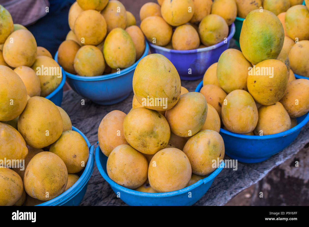 Gelb weich -Fotos und -Bildmaterial in hoher Auflösung – Alamy