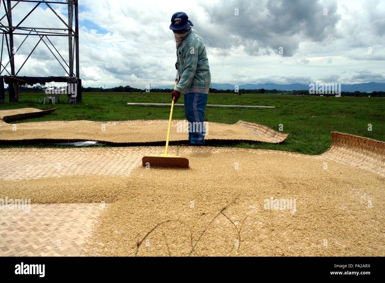 Reis zum trocknen streuen -Fotos und -Bildmaterial in hoher Auflösung ...