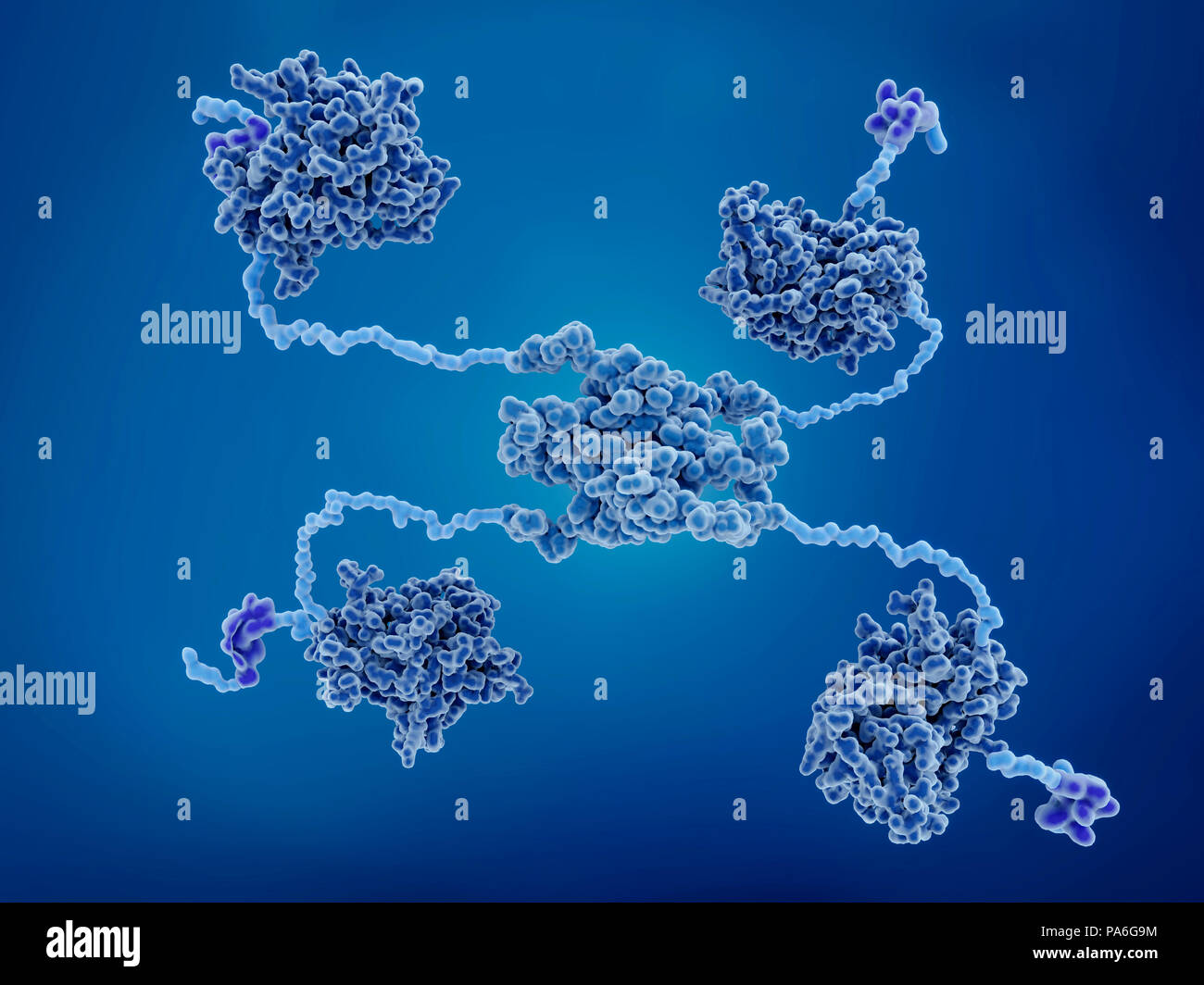 Dna bindung an anti krebs protein p53 -Fotos und -Bildmaterial in hoher ...