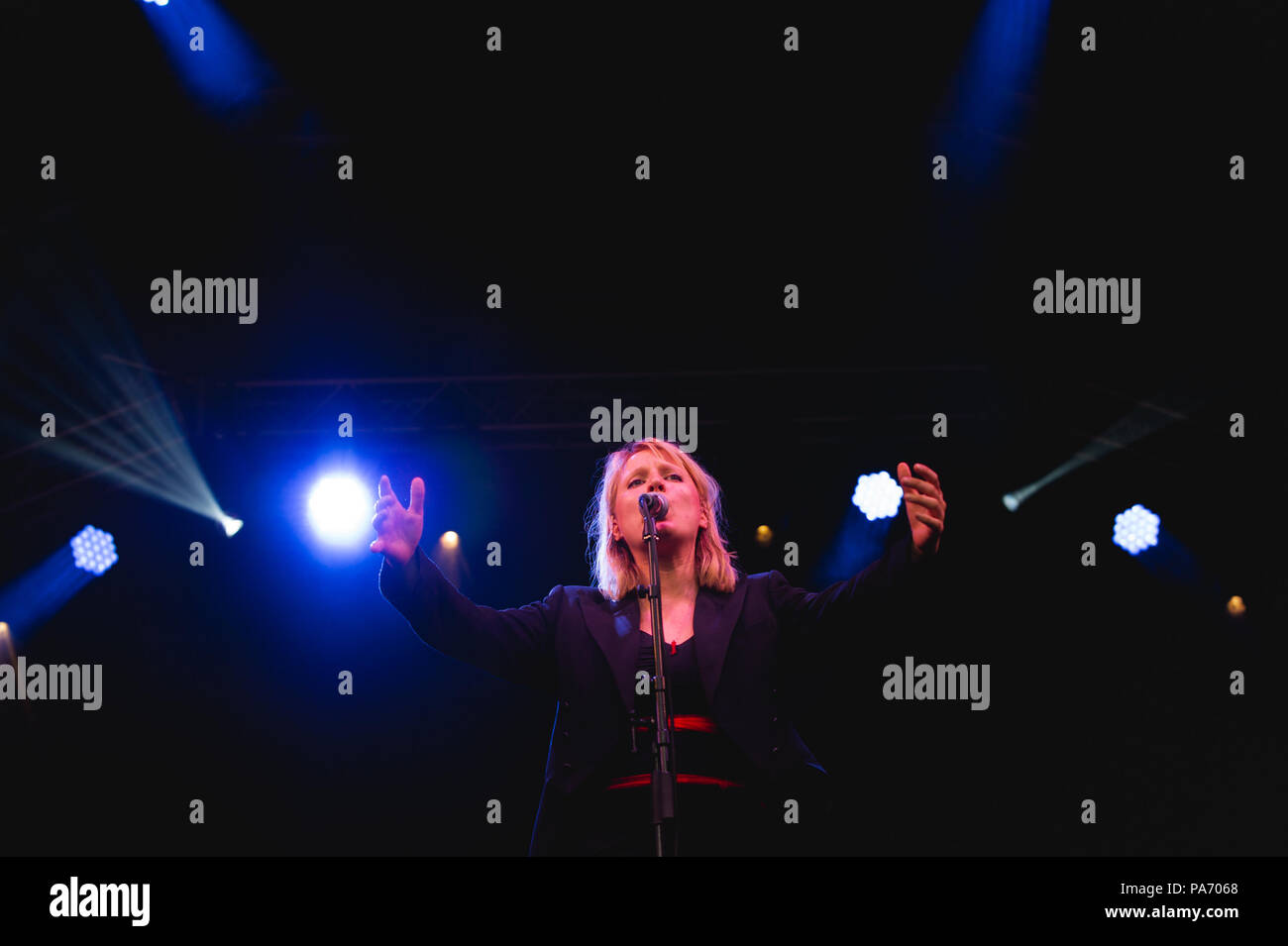 Mammut tree -Fotos und -Bildmaterial in hoher Auflösung – Alamy