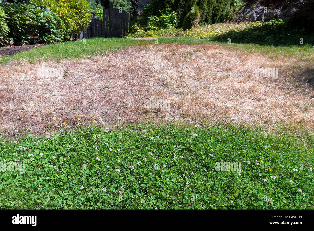 Ungepflegter zaun -Fotos und -Bildmaterial in hoher Auflösung – Alamy