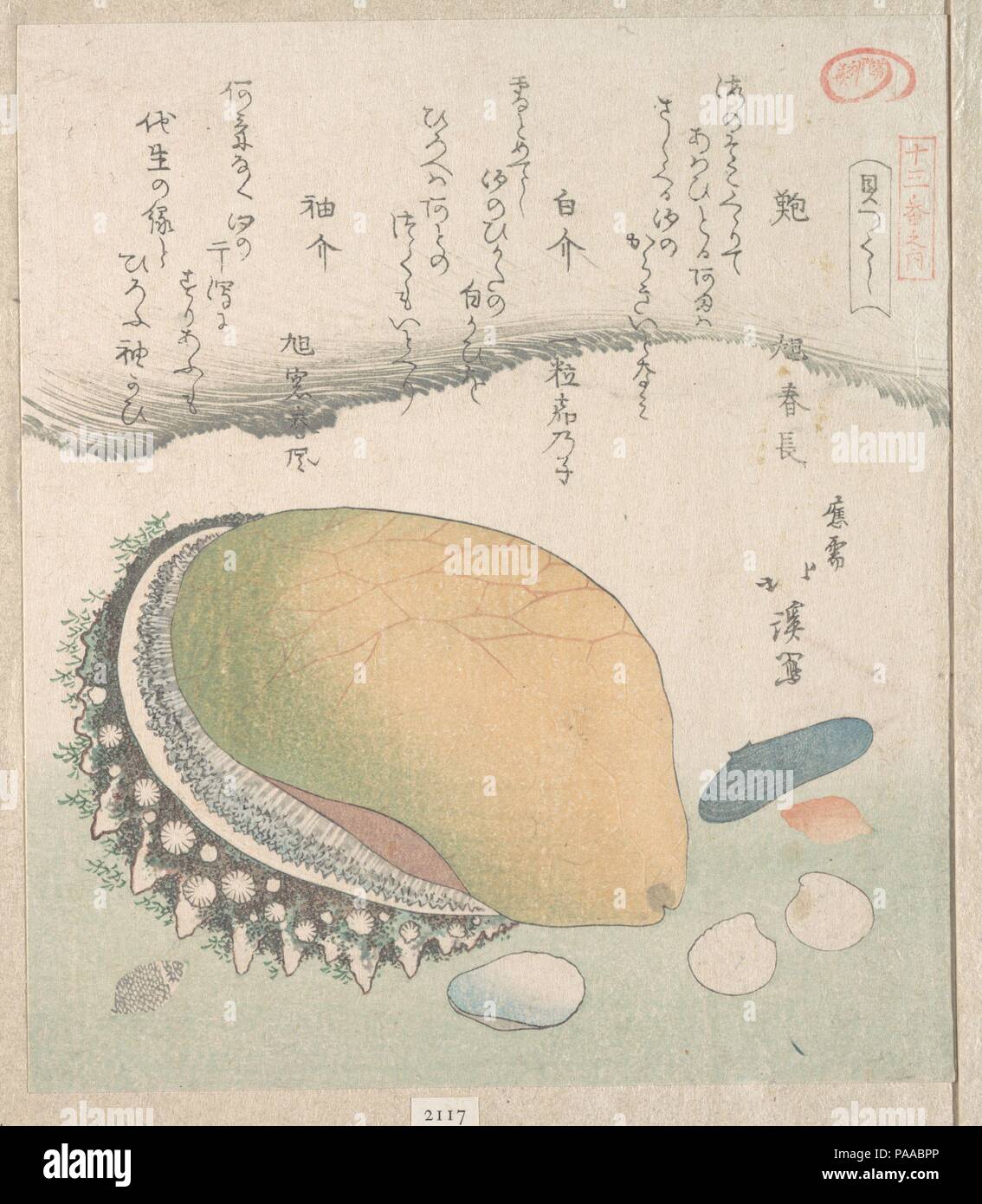 (Awabi Ear-Shell) und Verschiedene Shells. Artist: Totoya Hokkei ...