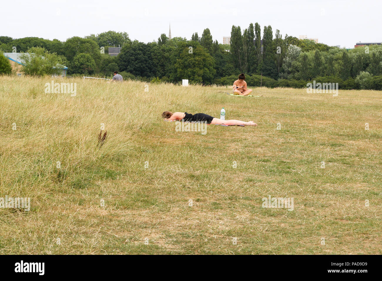 Dry drought grass in alexandra palace park -Fotos und -Bildmaterial in ...