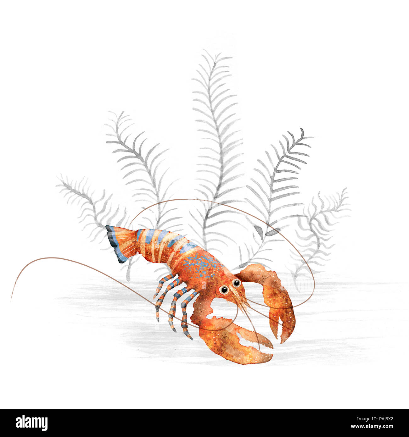 Hummer illustration -Fotos und -Bildmaterial in hoher Auflösung – Alamy