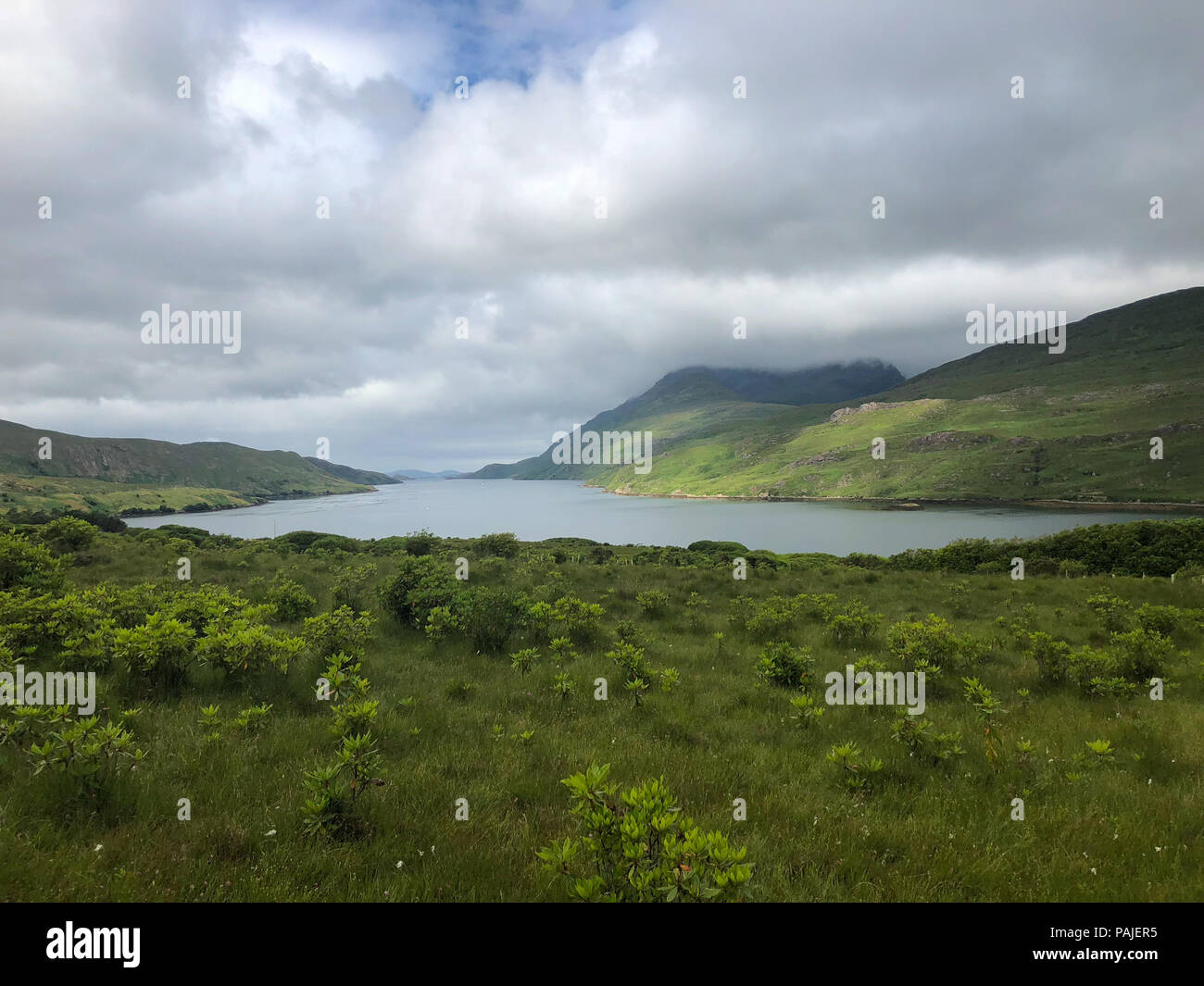 Landschaft der Killary Harbour, Irland Killary Harbour ist ein Fjord im ...