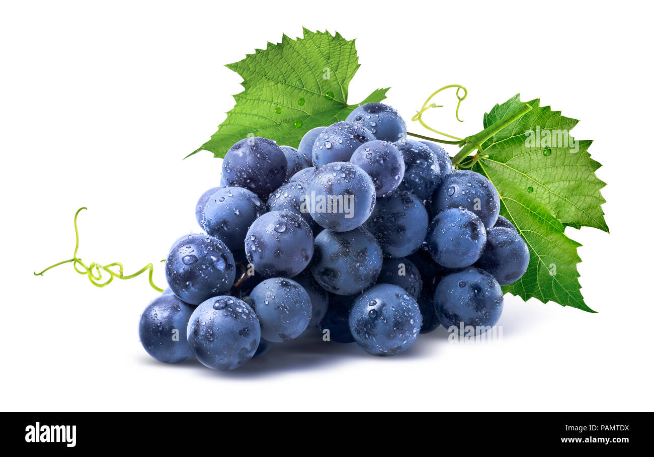 Wet grapes Stockfotos und -bilder Kaufen - Alamy