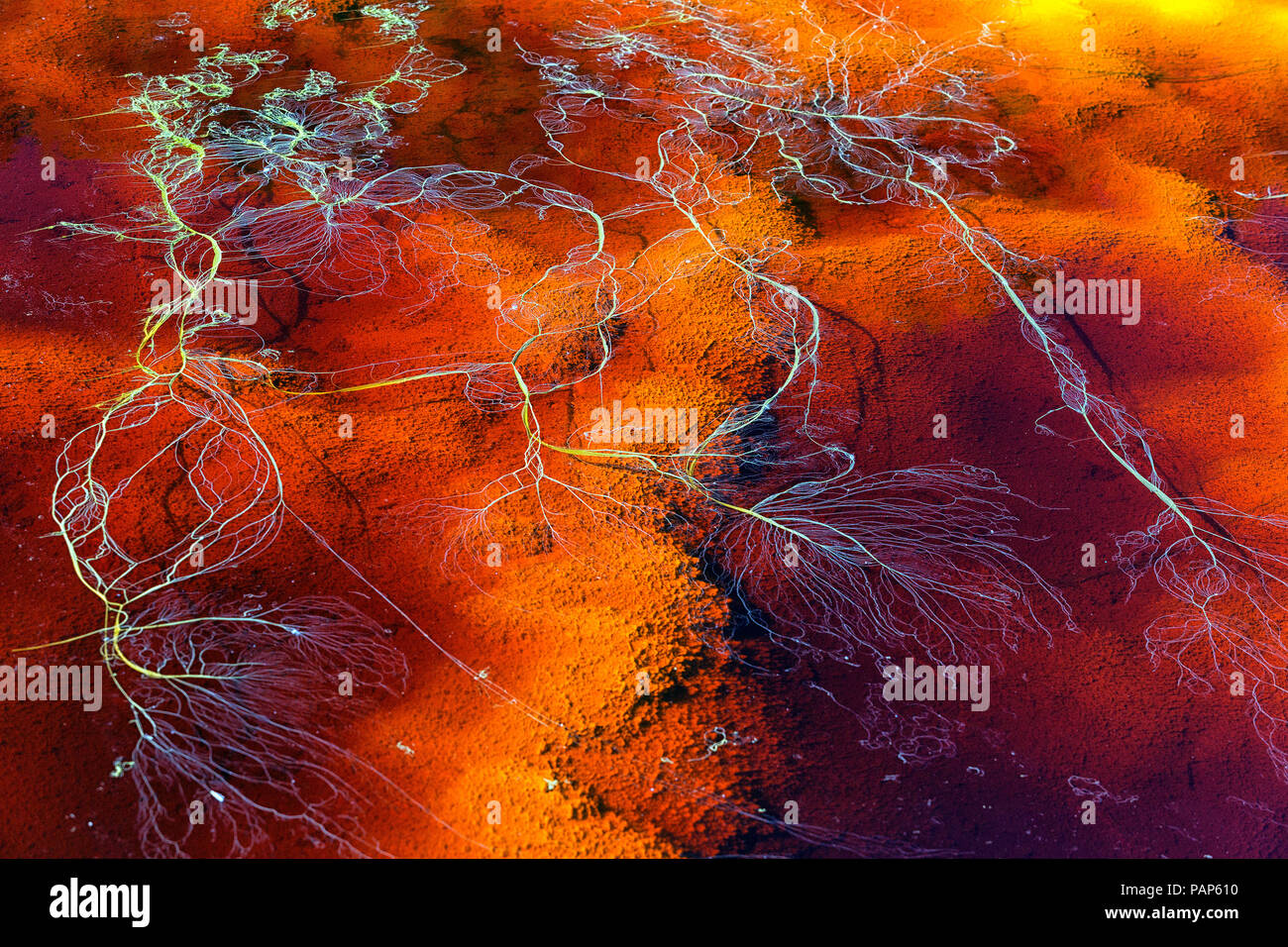 Solution de pollution en espagne -Fotos und -Bildmaterial in hoher ...